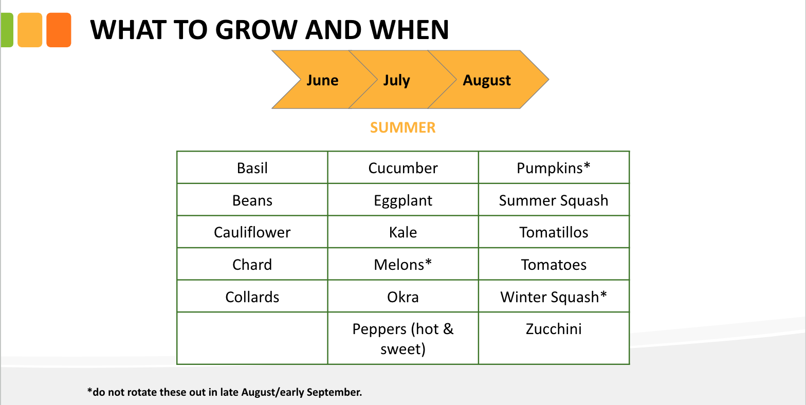 Lunch & Grow - Chicago Grows Food