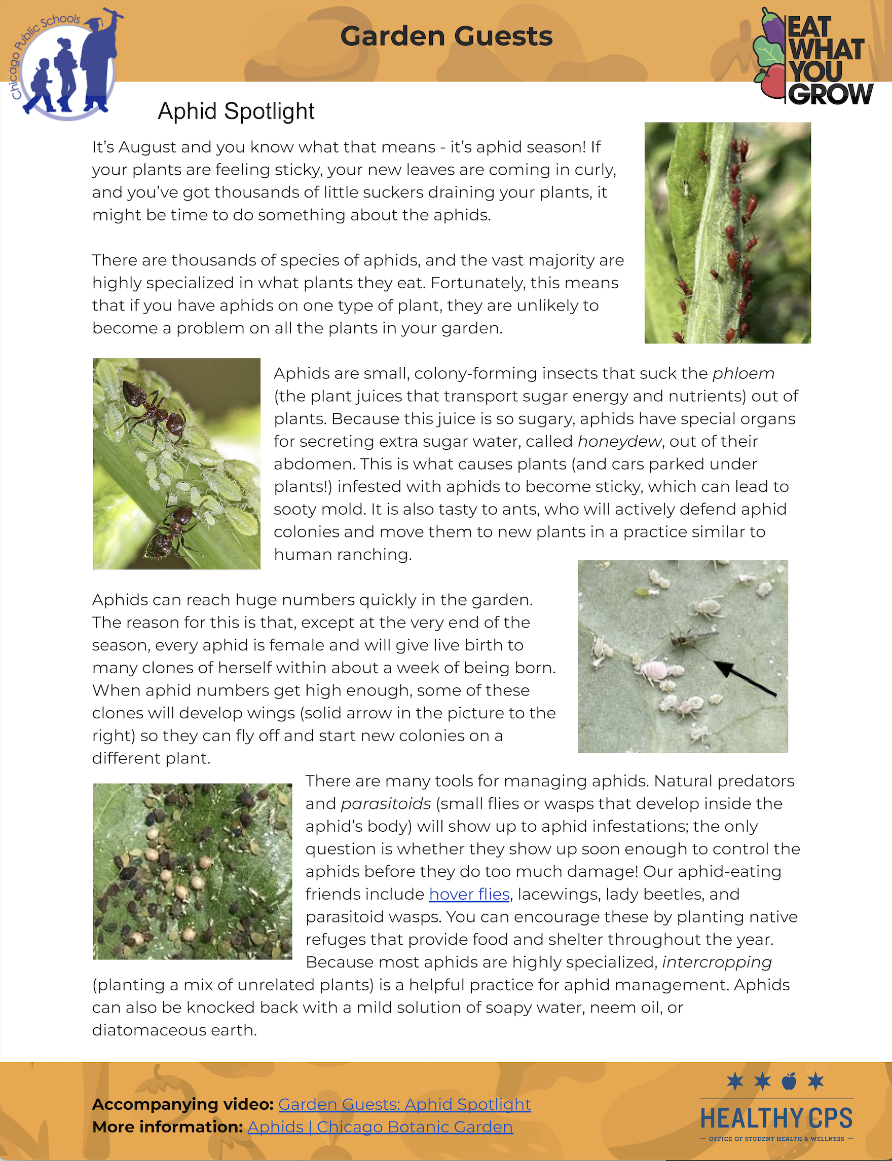 Weeds, Pests, Diseases & Wildlife - Chicago Grows Food