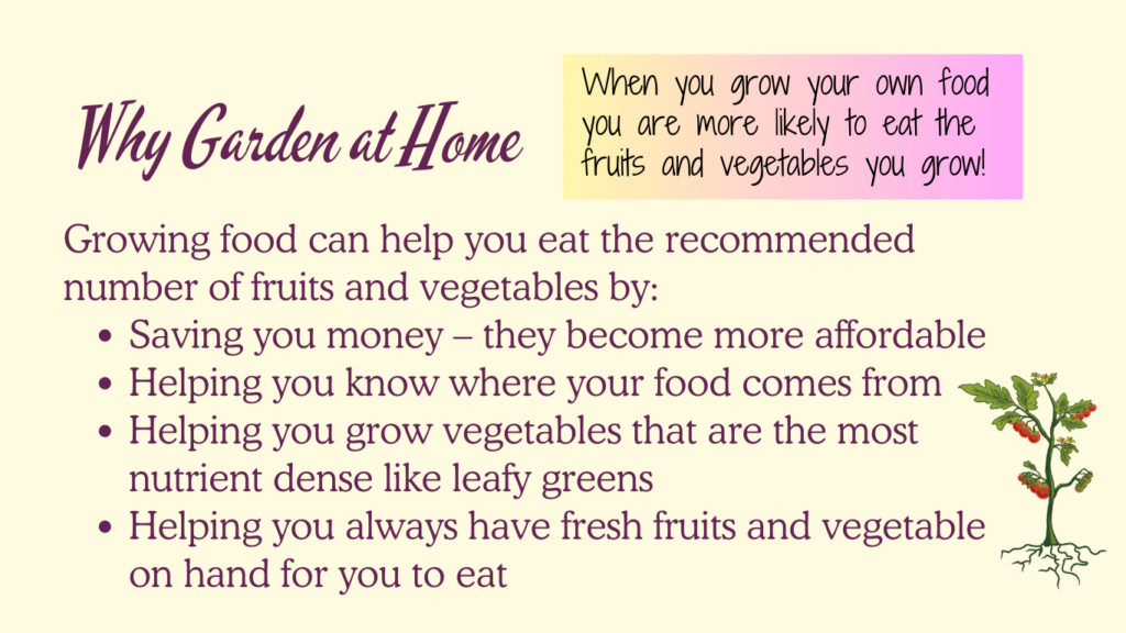 Starting a Garden - Chicago Grows Food